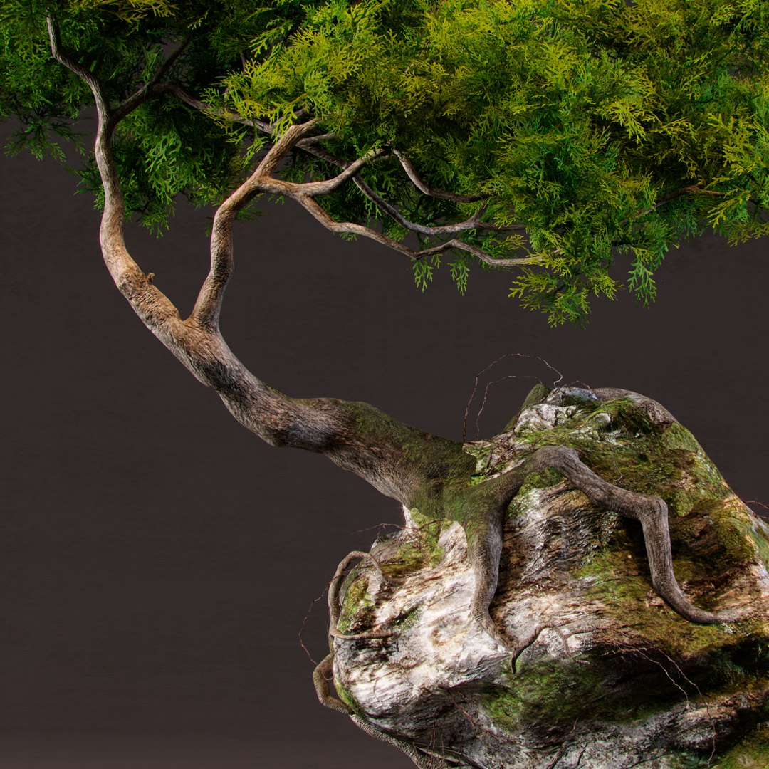 3D Model Bonsai - TurboSquid 1173460