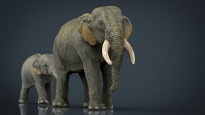 elephant rigged 3d fbx
