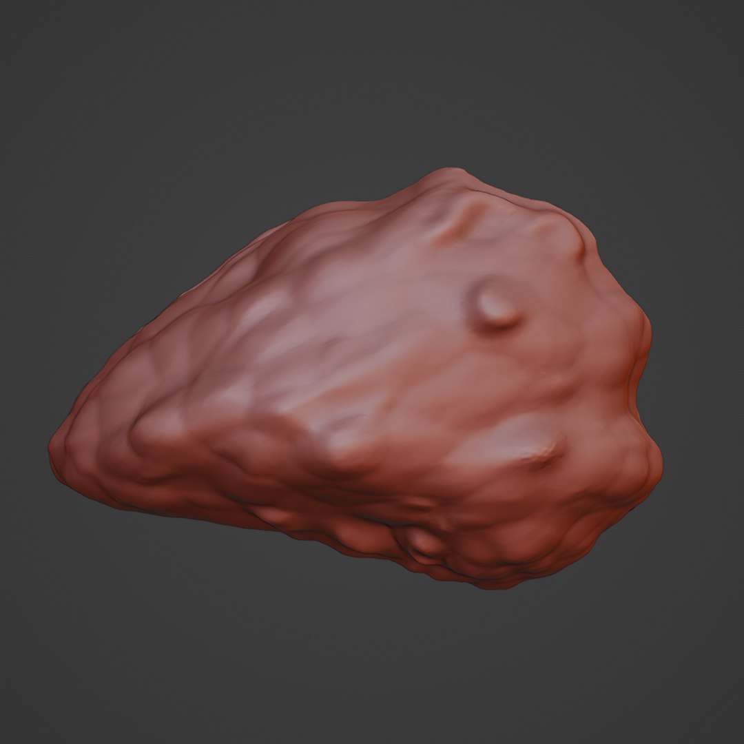 Oyster Shell Vol Four 3D Model - TurboSquid 2300112