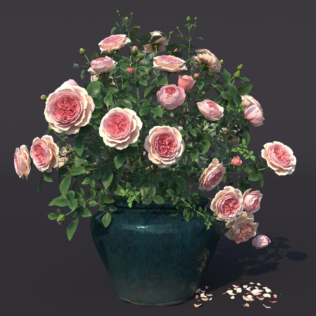 Rose Bush Pot 1 3D - TurboSquid 1551514