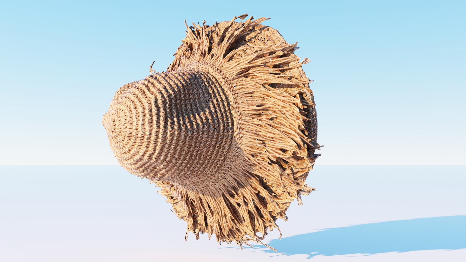 Straw Hat 3D Model - TurboSquid 2208284