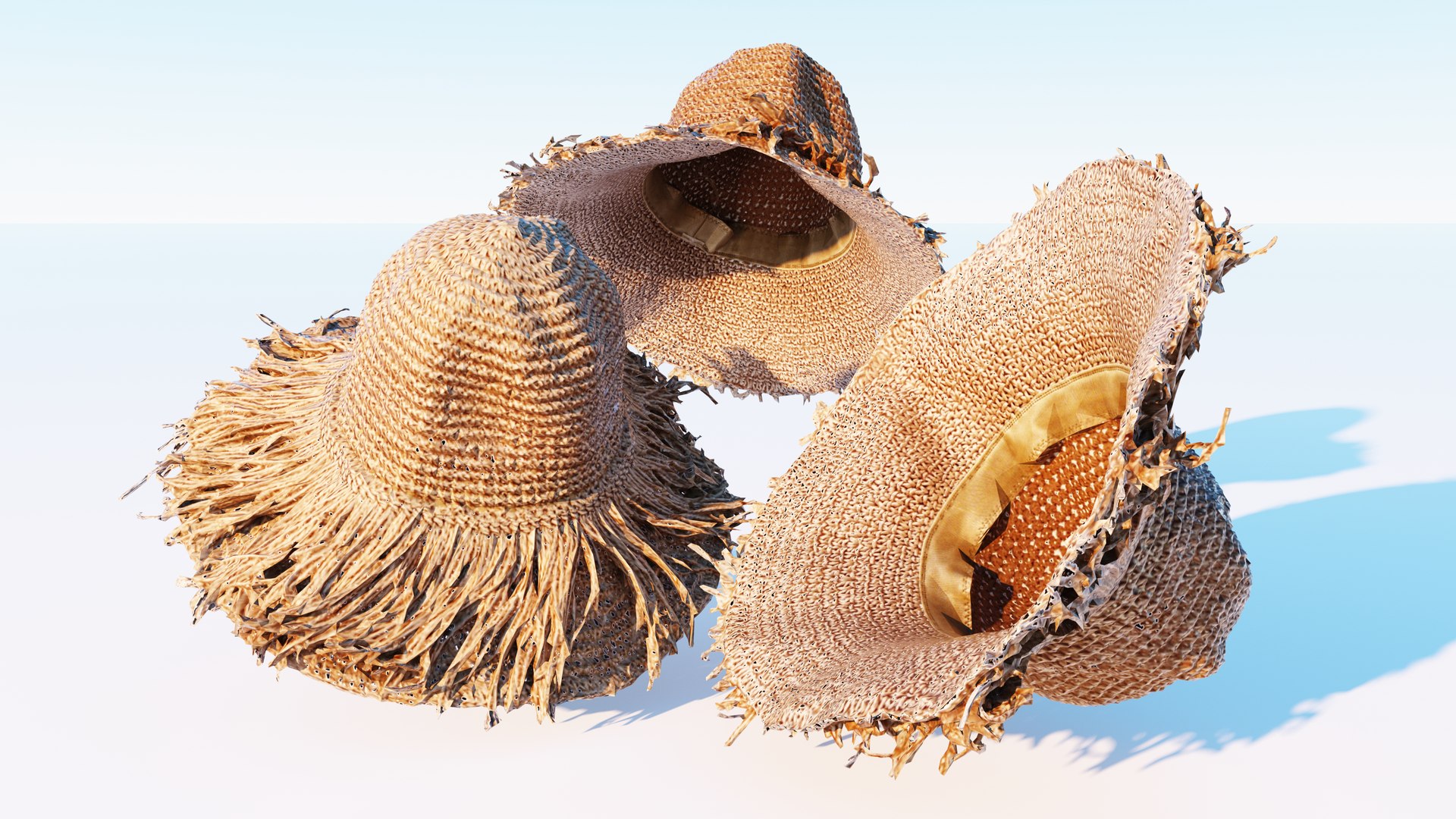 Straw Hat 3D Model - TurboSquid 2208284