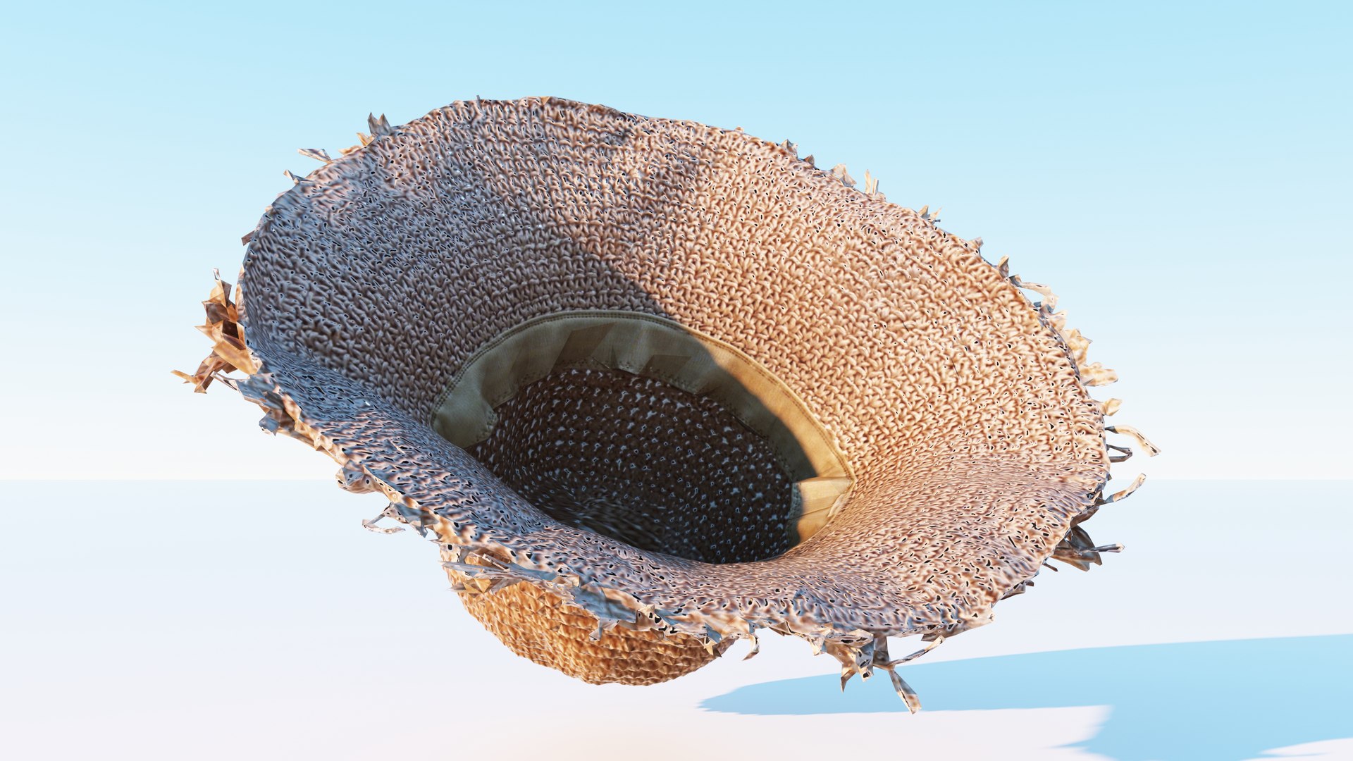 Straw Hat 3D Model - TurboSquid 2208284