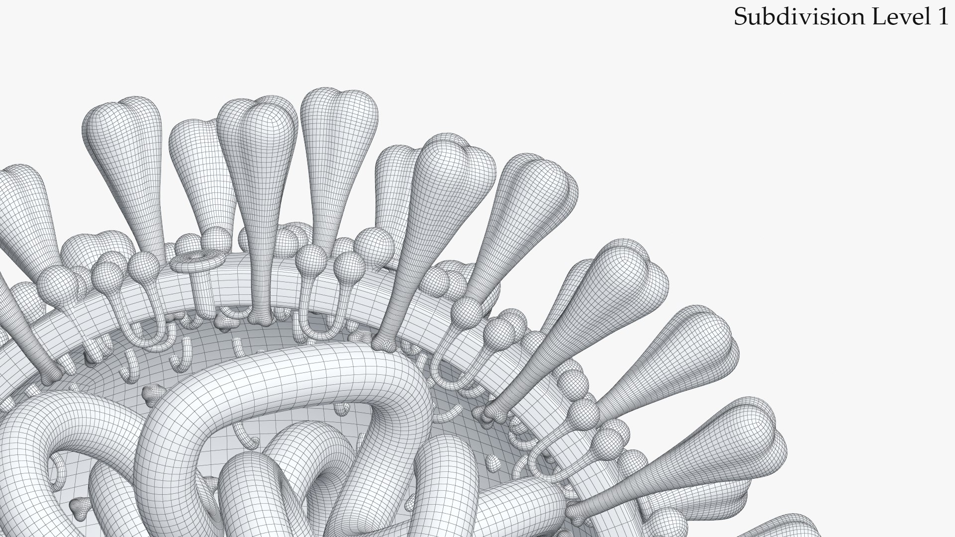 3D Model Coronavirus Cross Section - TurboSquid 1536927