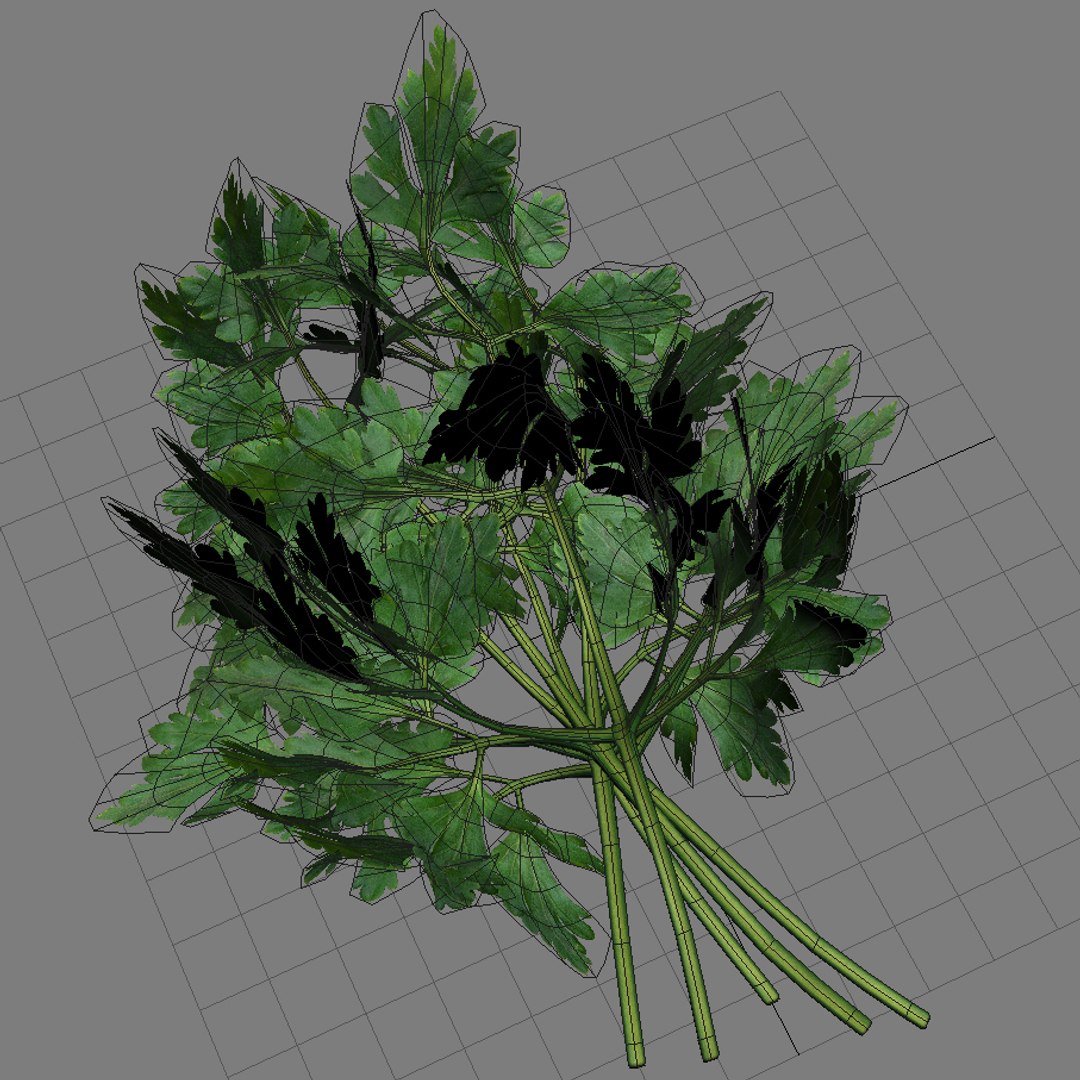 3d model vegetables broccoli cabbage