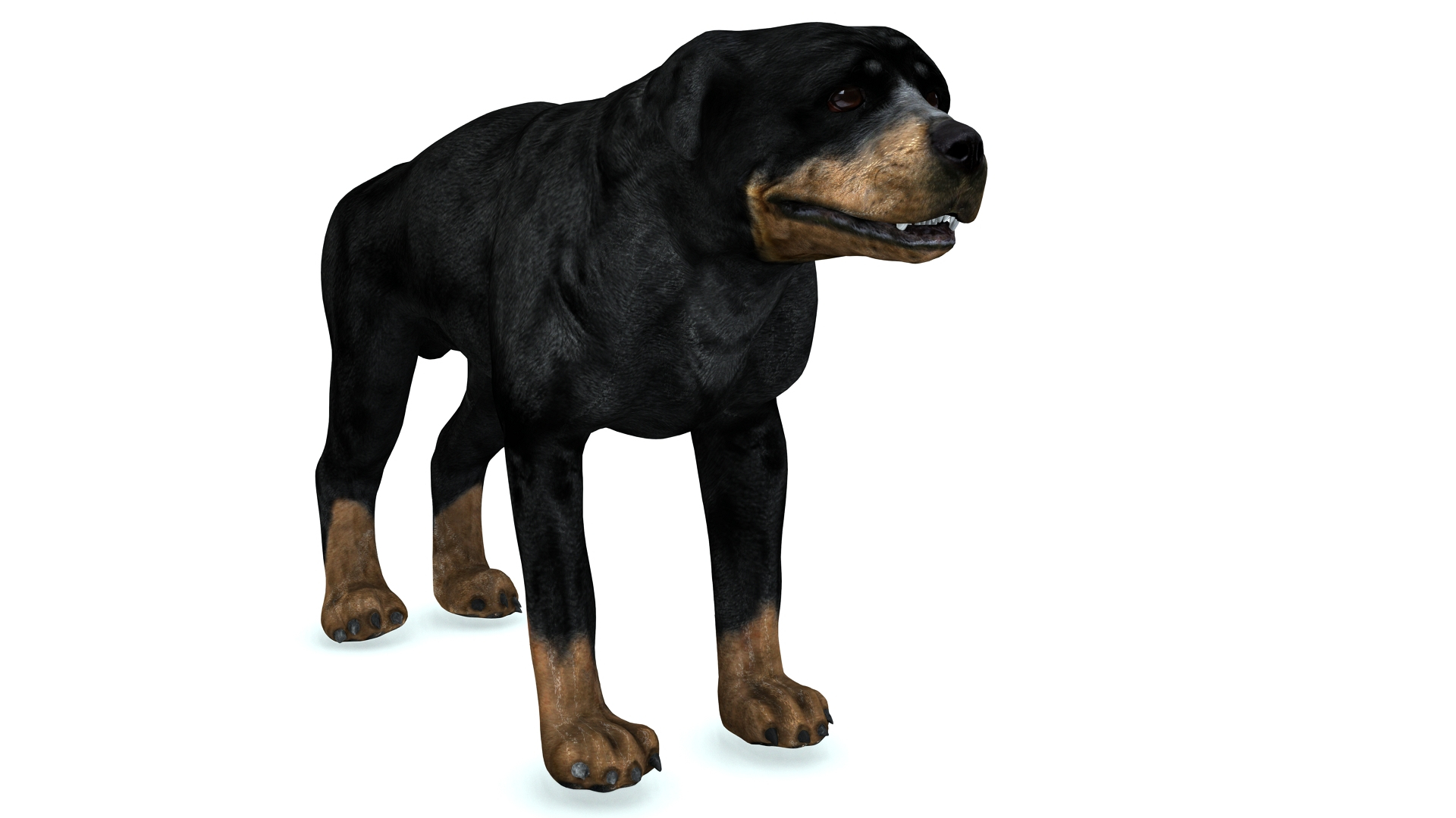 3D model DOG PACK ANIMATED - TurboSquid 2085676