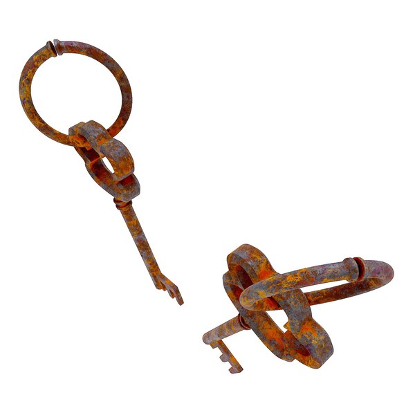 Dirty skeleton key 3D - TurboSquid 1983272