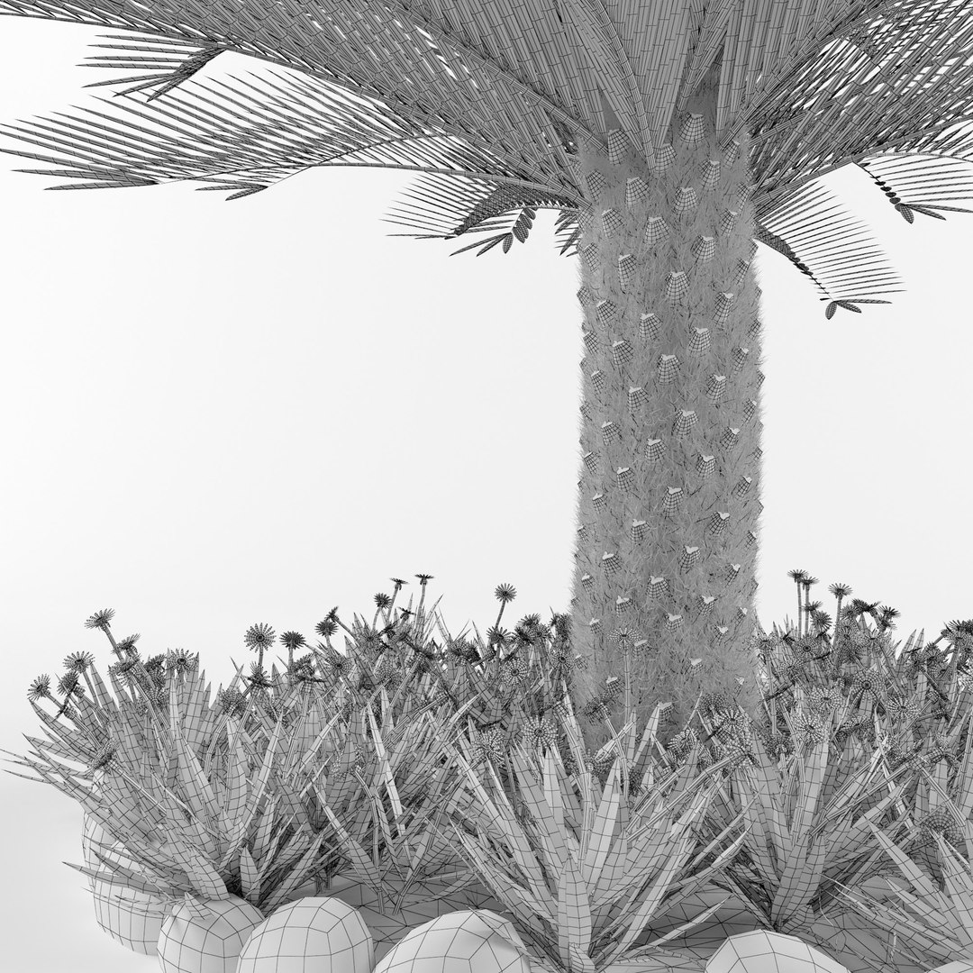 3D palm model - TurboSquid 1255342