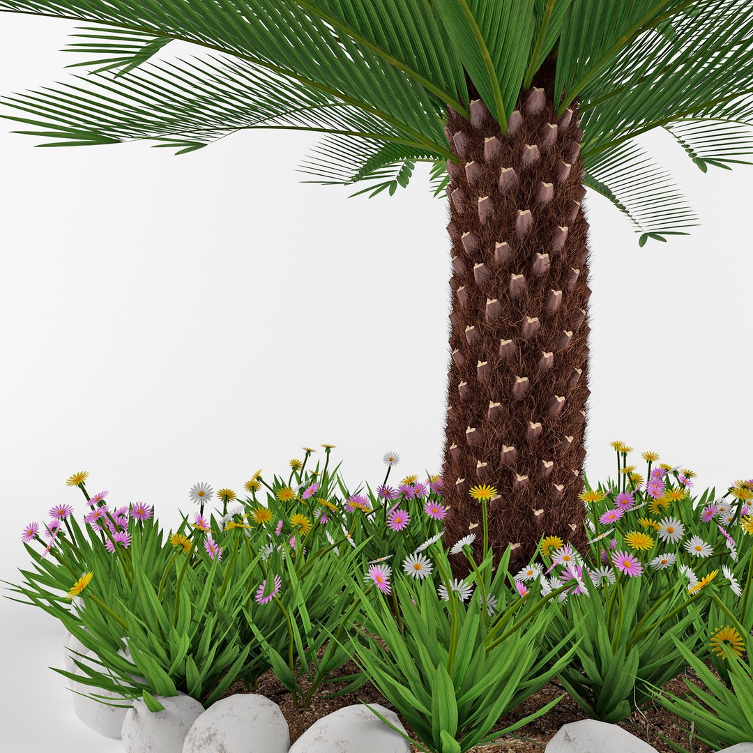 3D palm model - TurboSquid 1255342