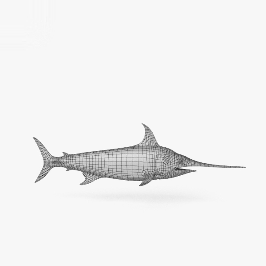 3D Swordfish Fish Model - TurboSquid 1448425