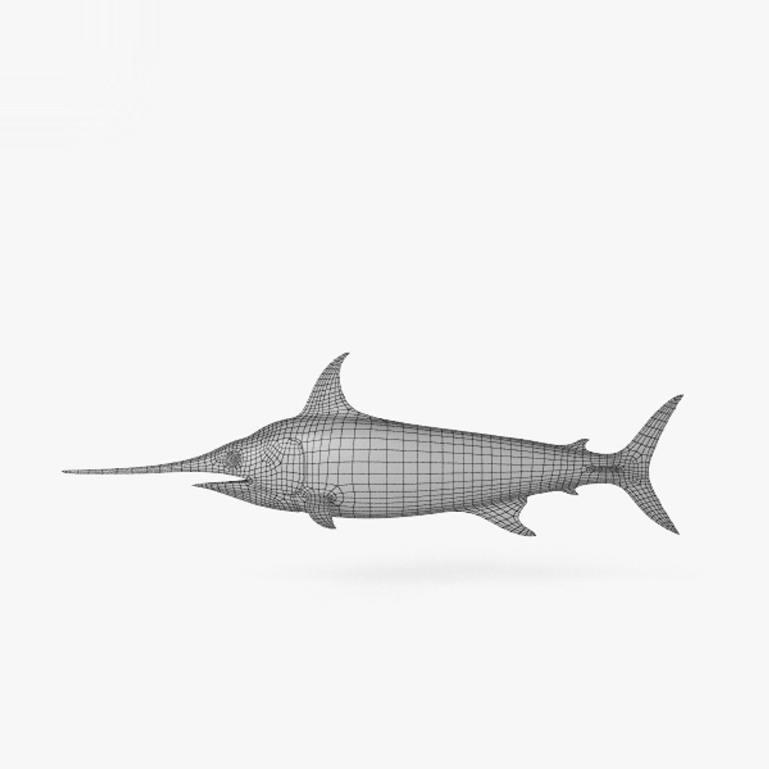 3D Swordfish Fish Model - TurboSquid 1448425