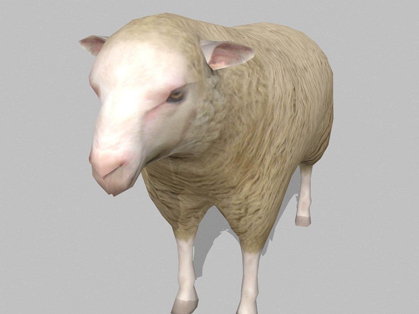 Sheep Uv Max