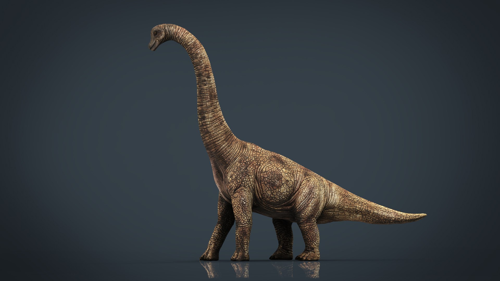 3D Realistic Brachiosaurus - TurboSquid 1206484