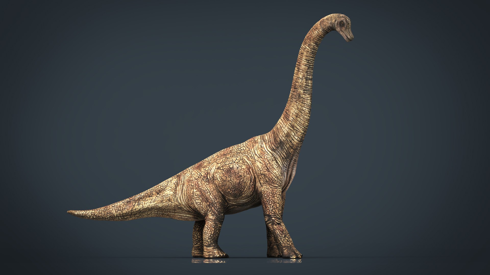 3D Realistic Brachiosaurus - TurboSquid 1206484