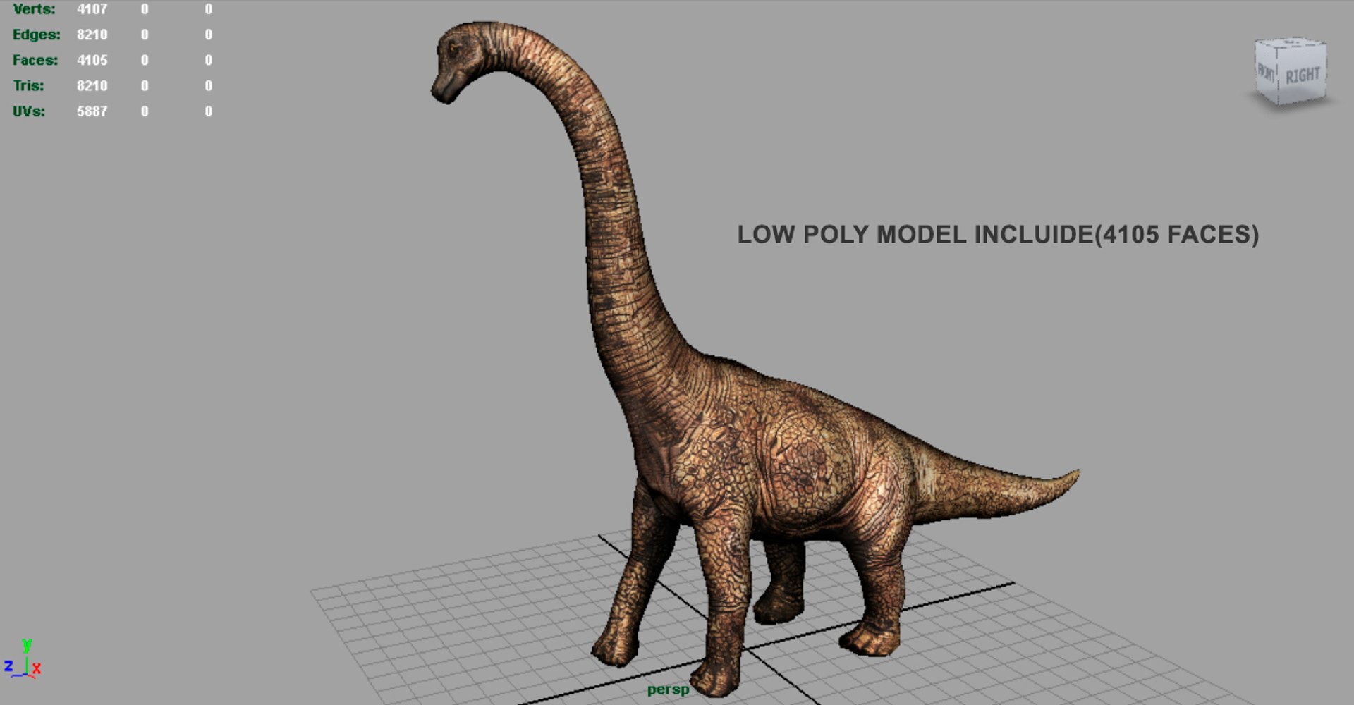 3D Realistic Brachiosaurus - TurboSquid 1206484