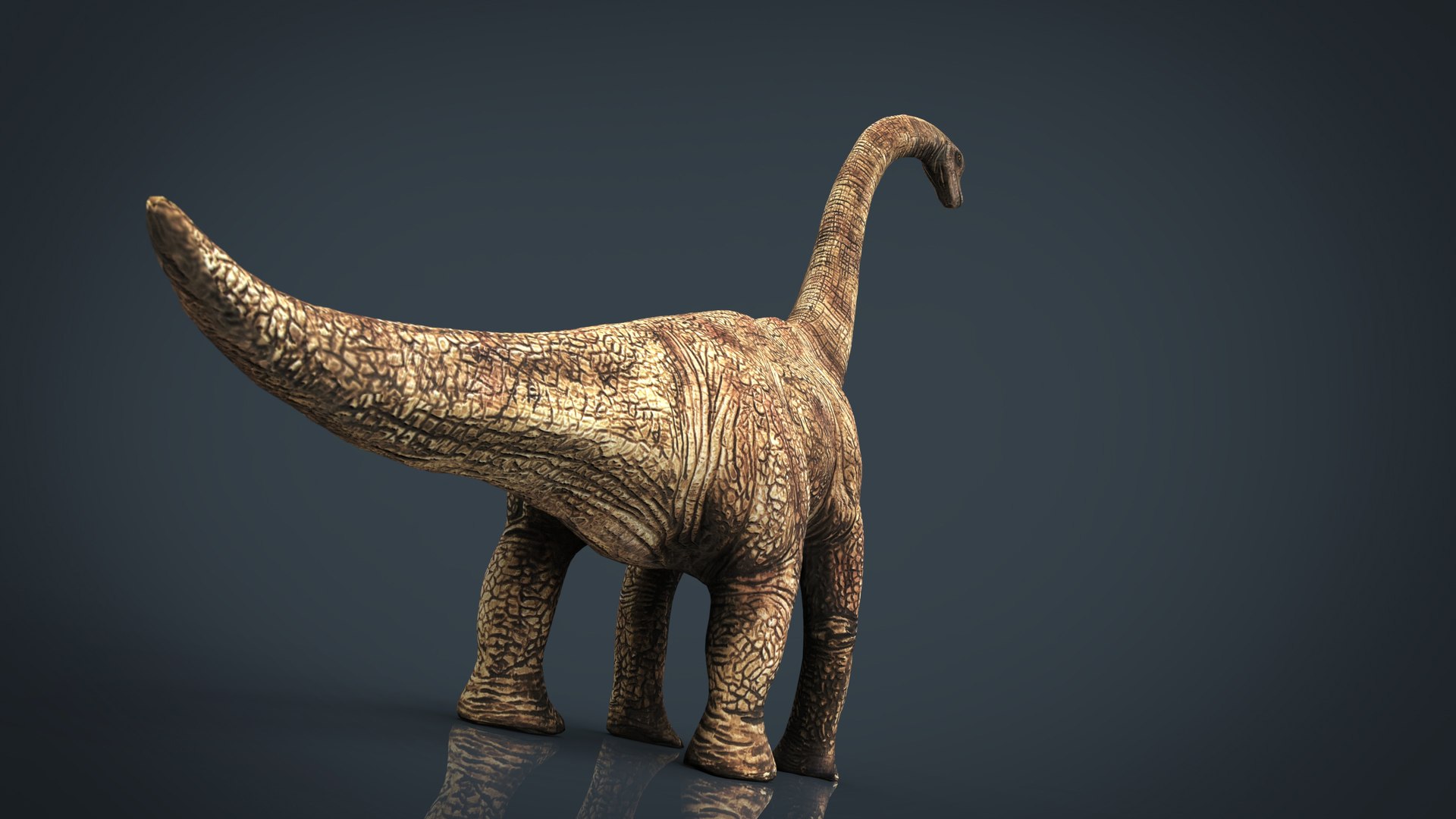 3D Realistic Brachiosaurus - TurboSquid 1206484