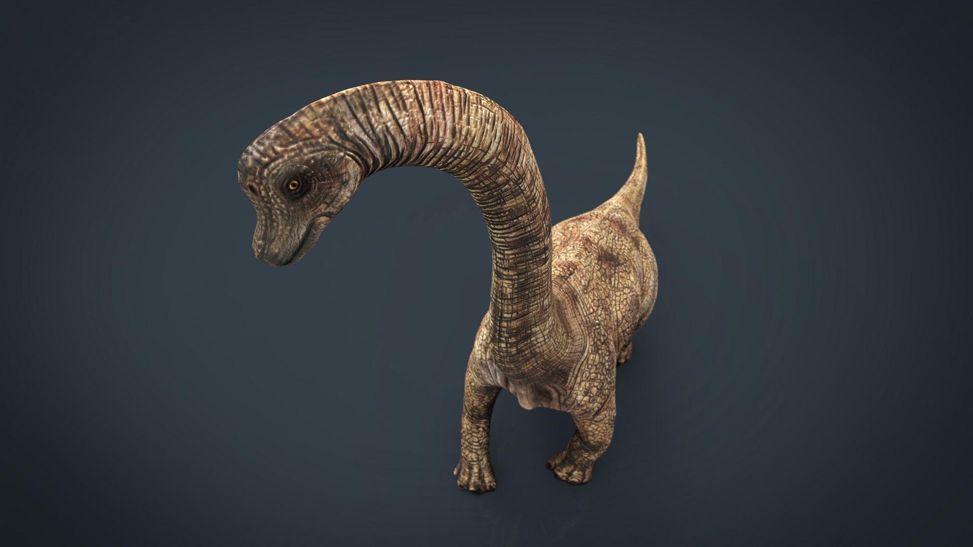 3D Realistic Brachiosaurus - TurboSquid 1206484
