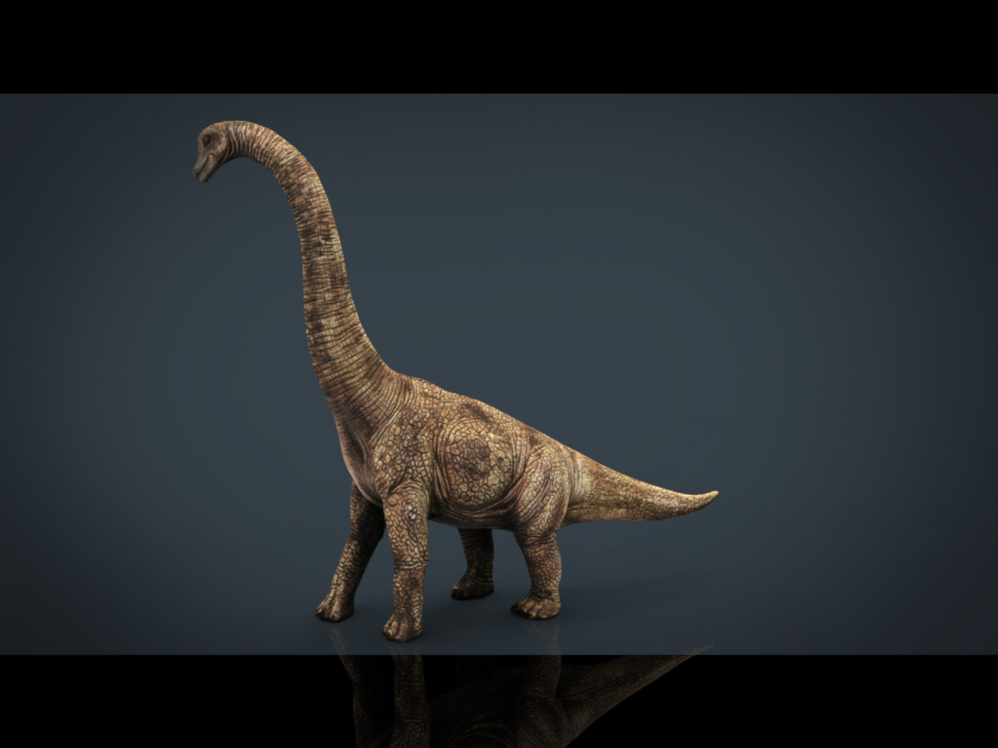 3D realistic brachiosaurus - TurboSquid 1206484