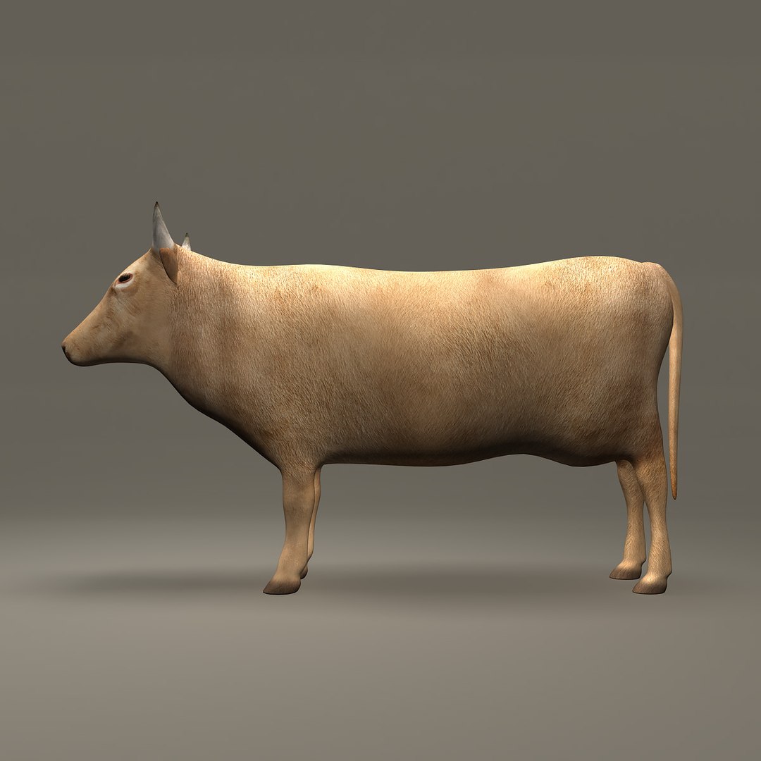 Cow Brown 3d Model