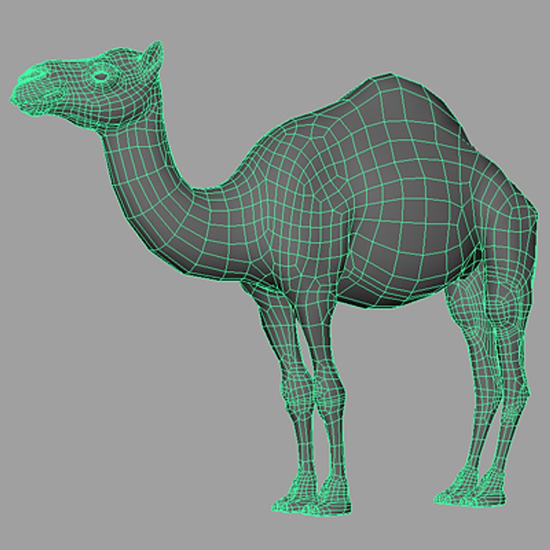 3d model of camel