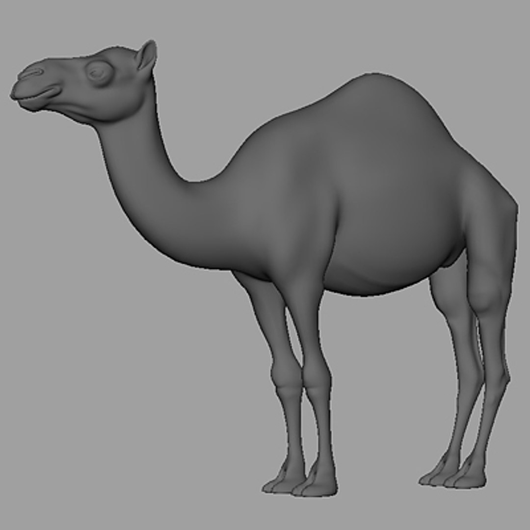 3d model of camel