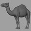 3d model of camel