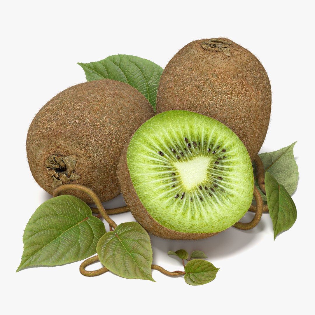 Kiwi Fruit 3D Model - TurboSquid 2198071