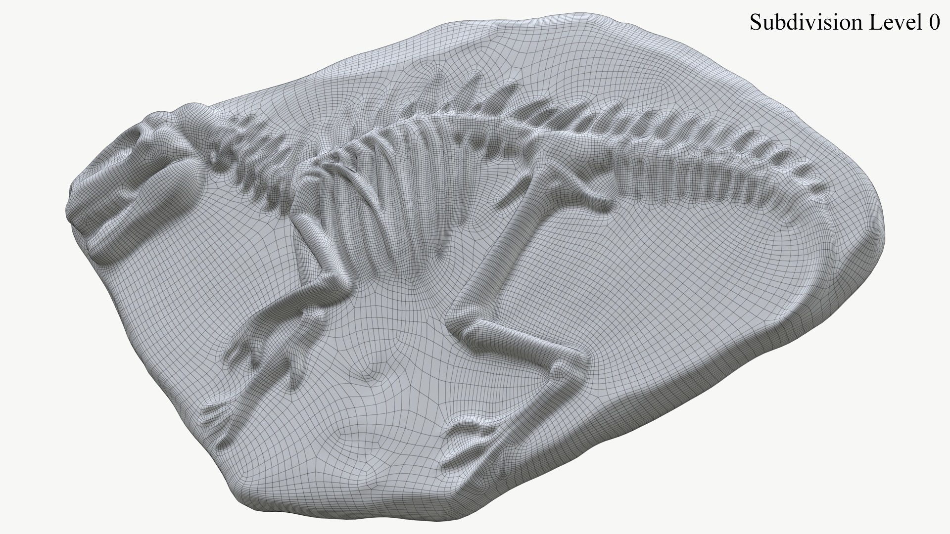 Dinosaur Fossil 004 Textured 3D - TurboSquid 2298236