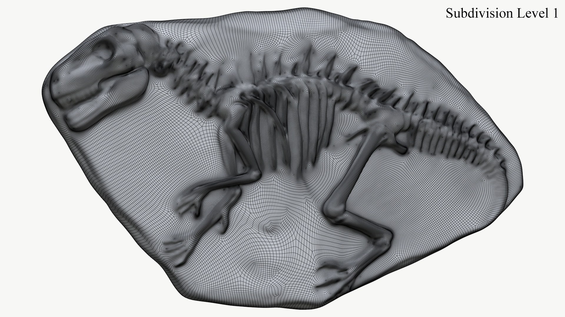Dinosaur Fossil 004 Textured 3D - TurboSquid 2298236