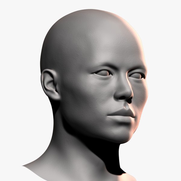 Free 3D Free Bust Head Base Mesh model - TurboSquid 1832518