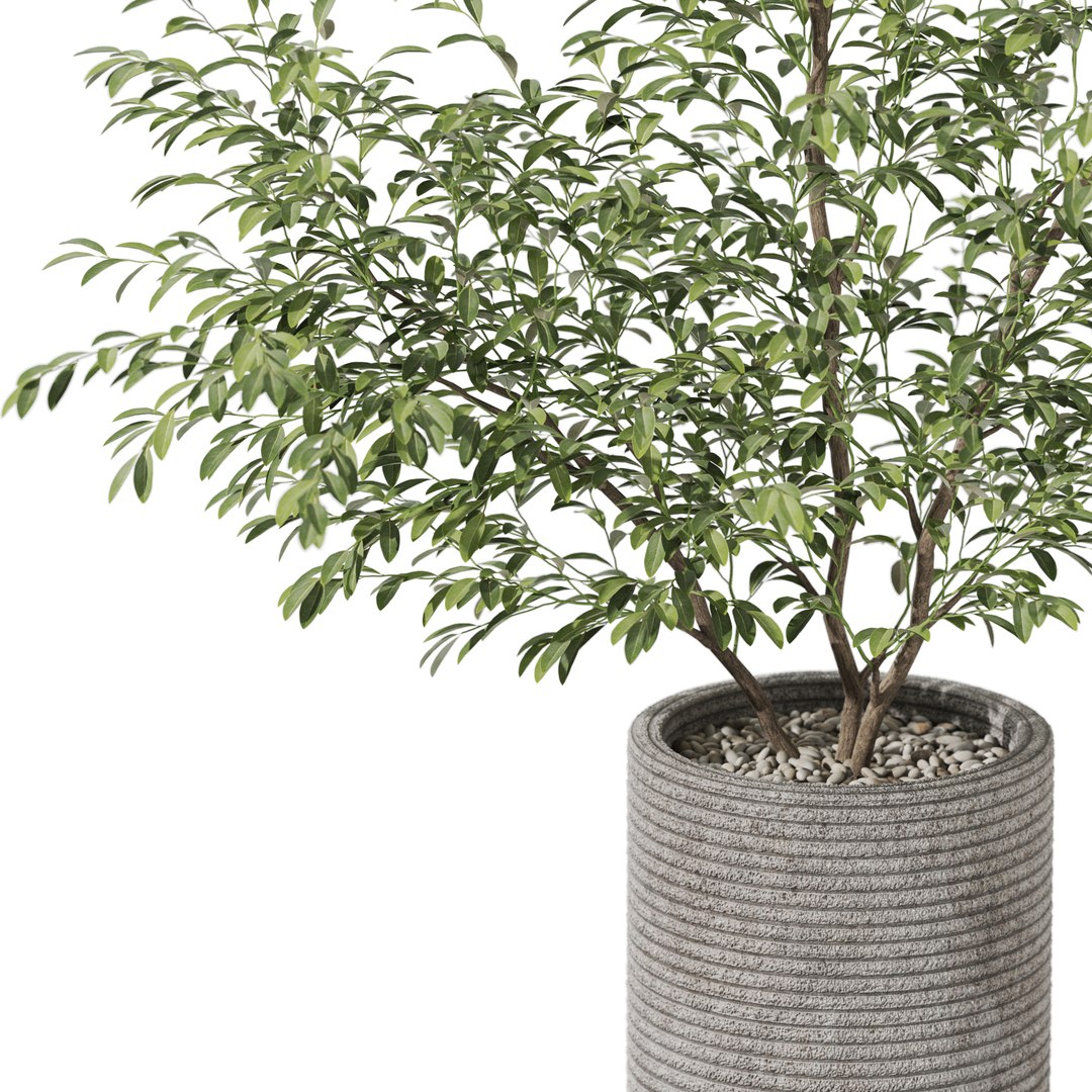 Plants Collection 1128 3D - TurboSquid 2287569