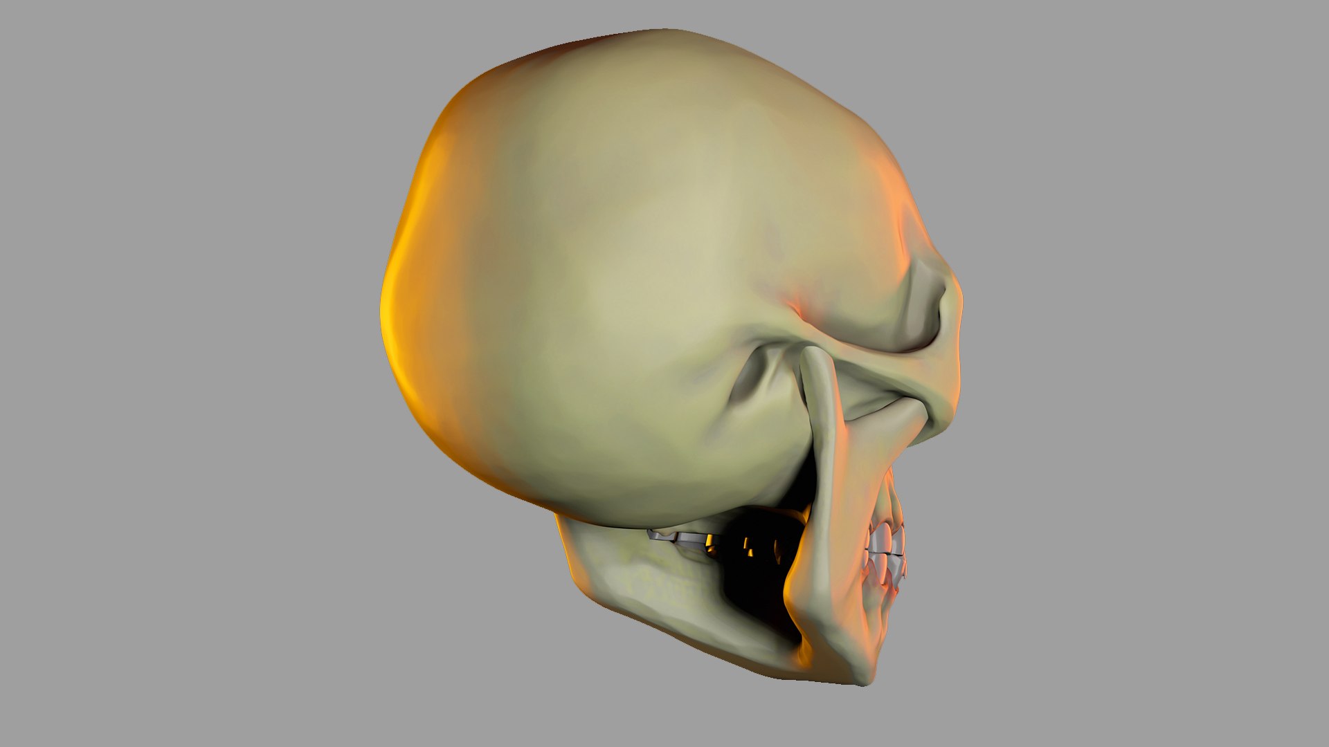 3D Skull - TurboSquid 2296183