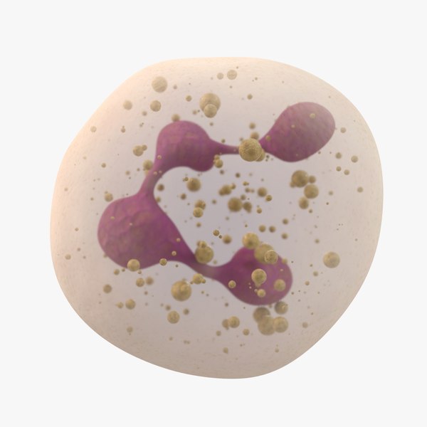 Modelo De Glóbulo Blanco Glóbulos Blancos Animados Modelo 3D $15