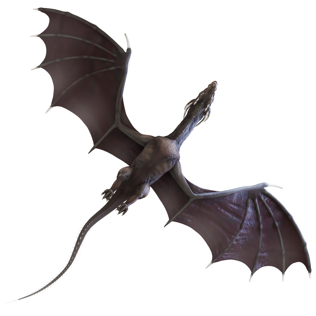 Dragon Model - TurboSquid 1420577