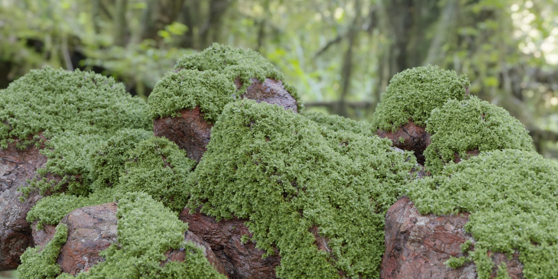Mossy Rocks Garden Collection Vol 140-Blender 3DModel 3D Model ...