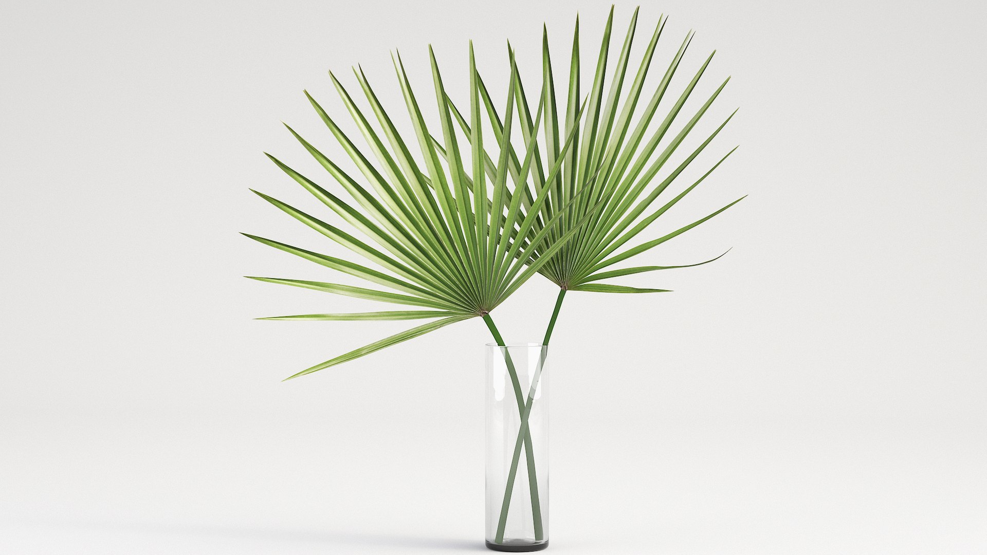 3D Palm Model - TurboSquid 1629332