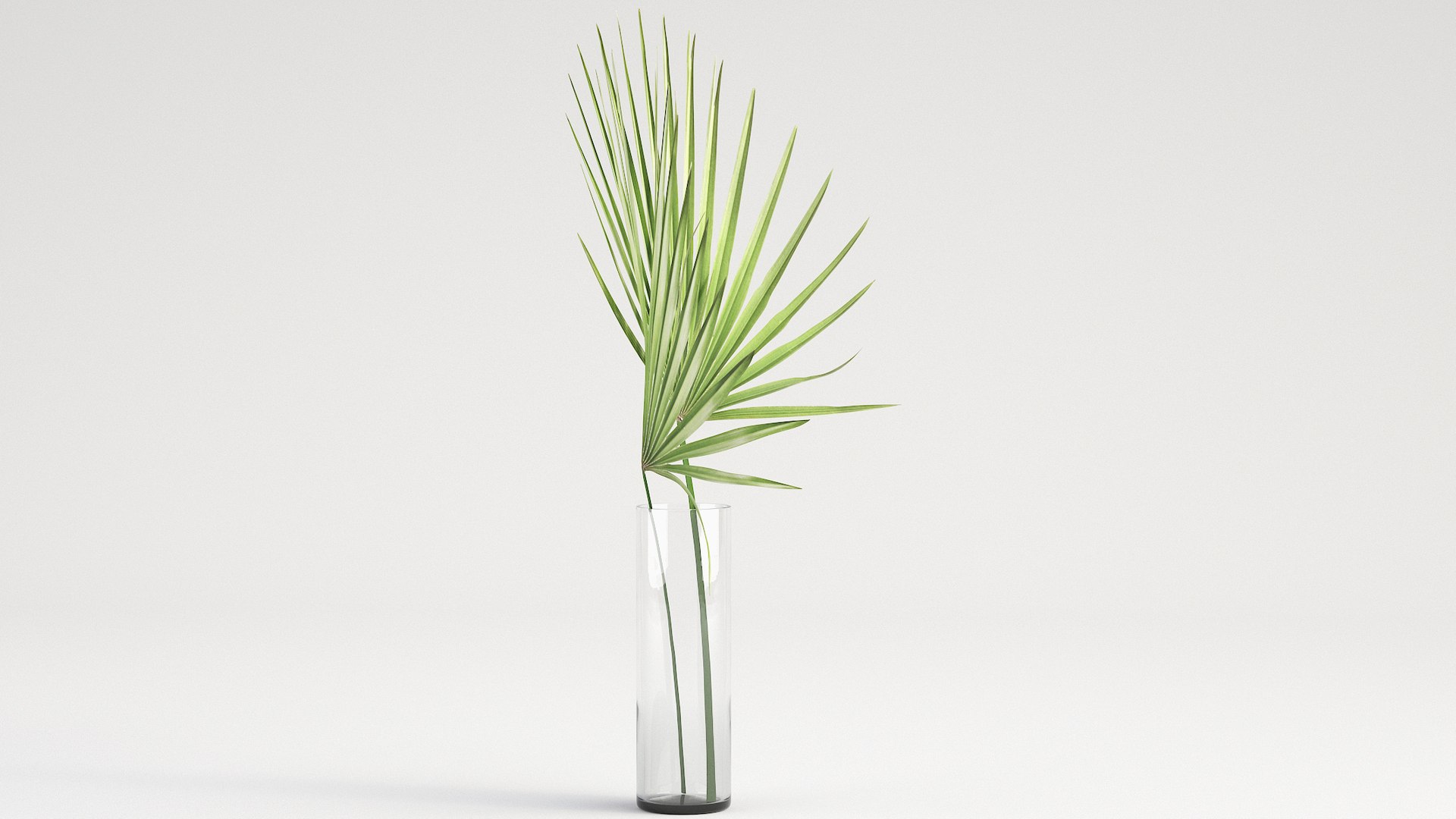3D Palm Model - TurboSquid 1629332