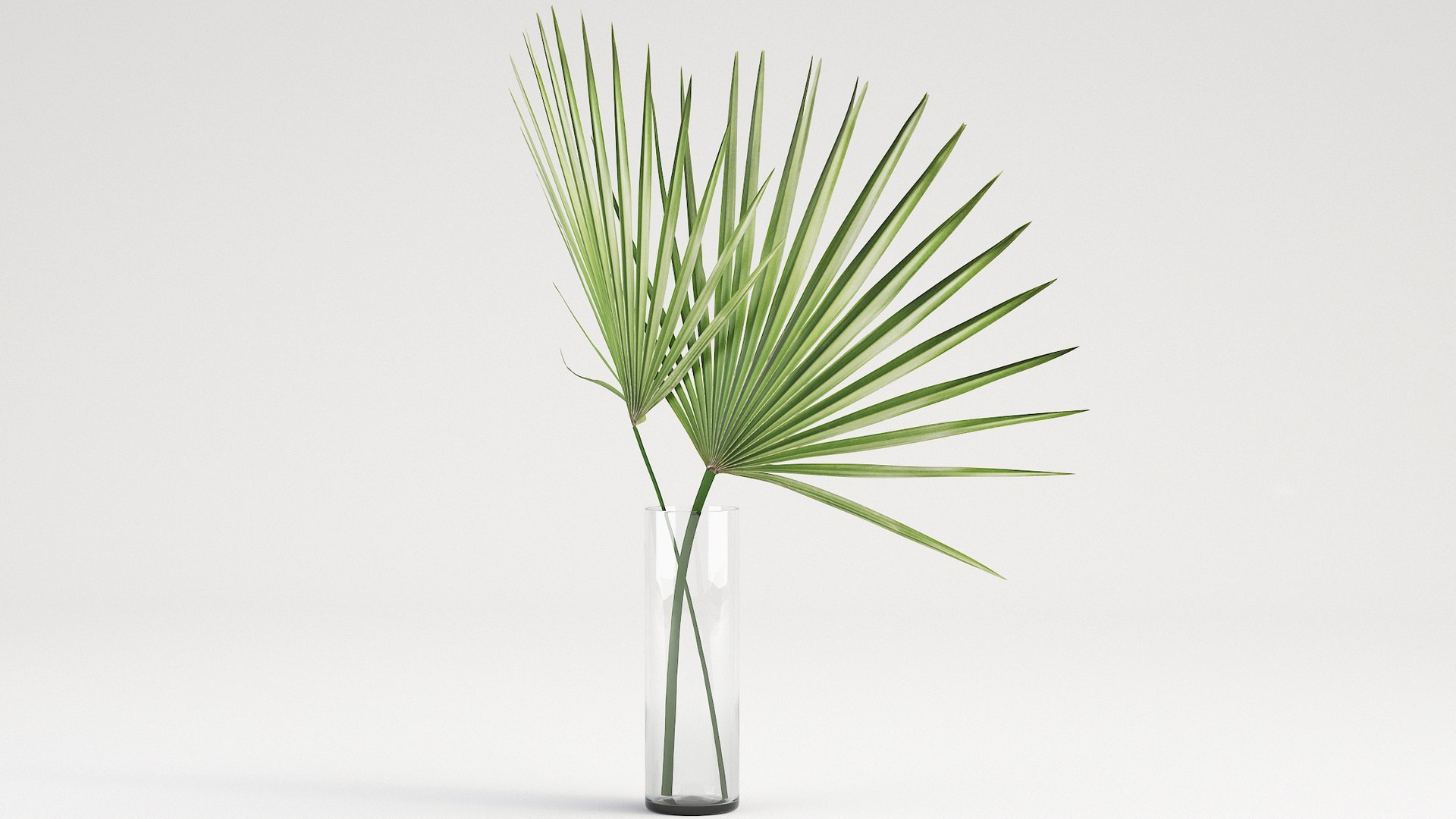 3D Palm Model - TurboSquid 1629332