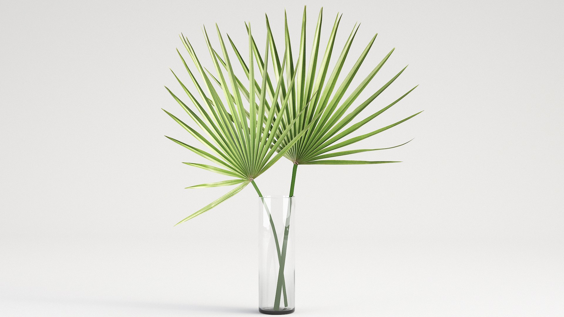 3D Palm Model - TurboSquid 1629332