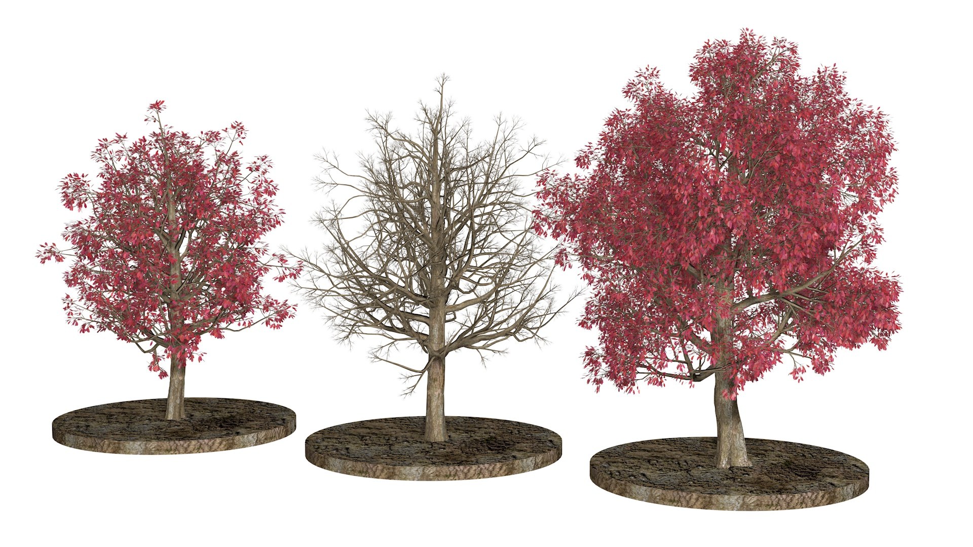 3D Three Pink trees v2 model - TurboSquid 1770256