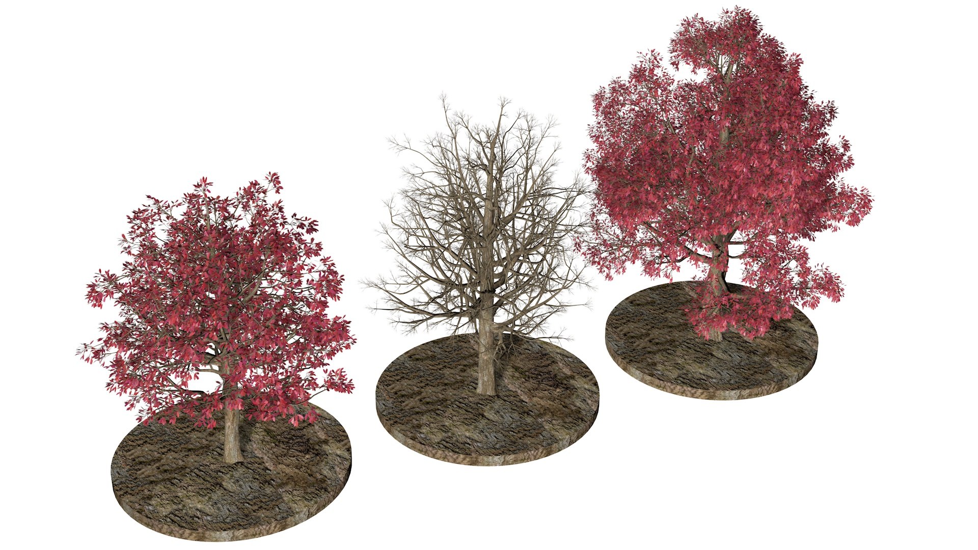 3D Three Pink trees v2 model - TurboSquid 1770256