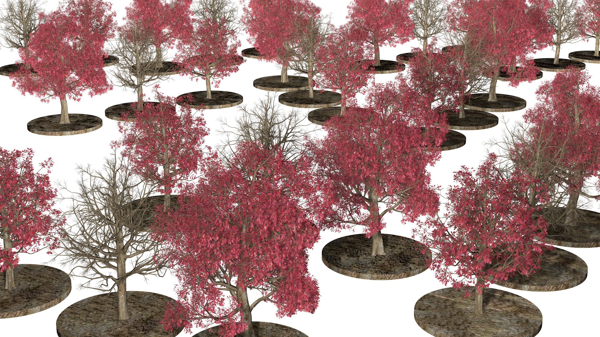 3D Three Pink trees v2 model - TurboSquid 1770256