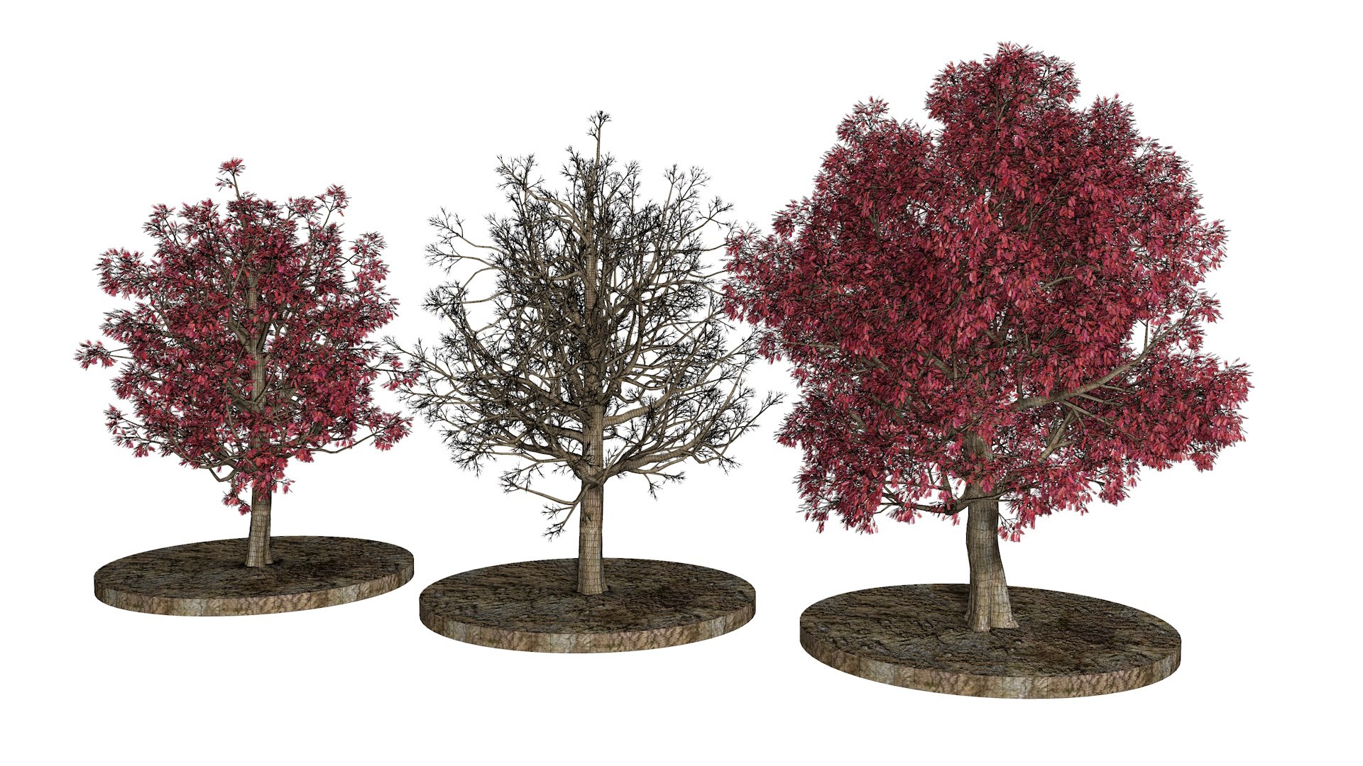 3D Three Pink trees v2 model - TurboSquid 1770256