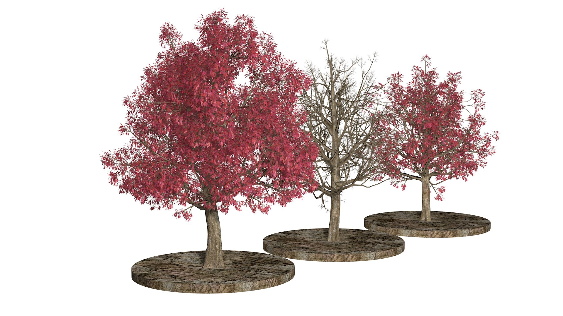 3D Three Pink trees v2 model - TurboSquid 1770256