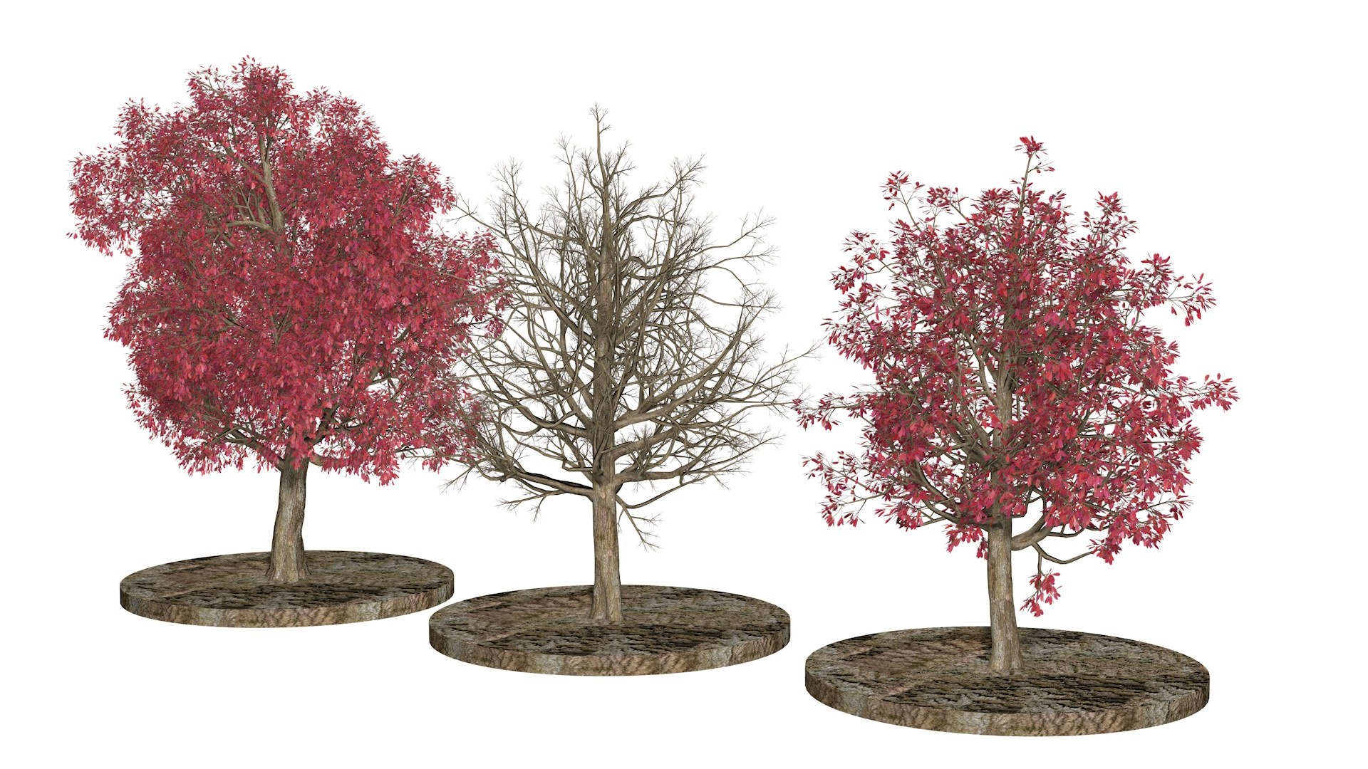 3D Three Pink trees v2 model - TurboSquid 1770256