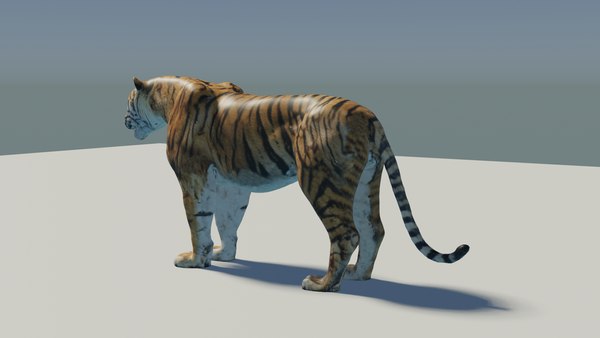 3D Tiger - TurboSquid 1897352