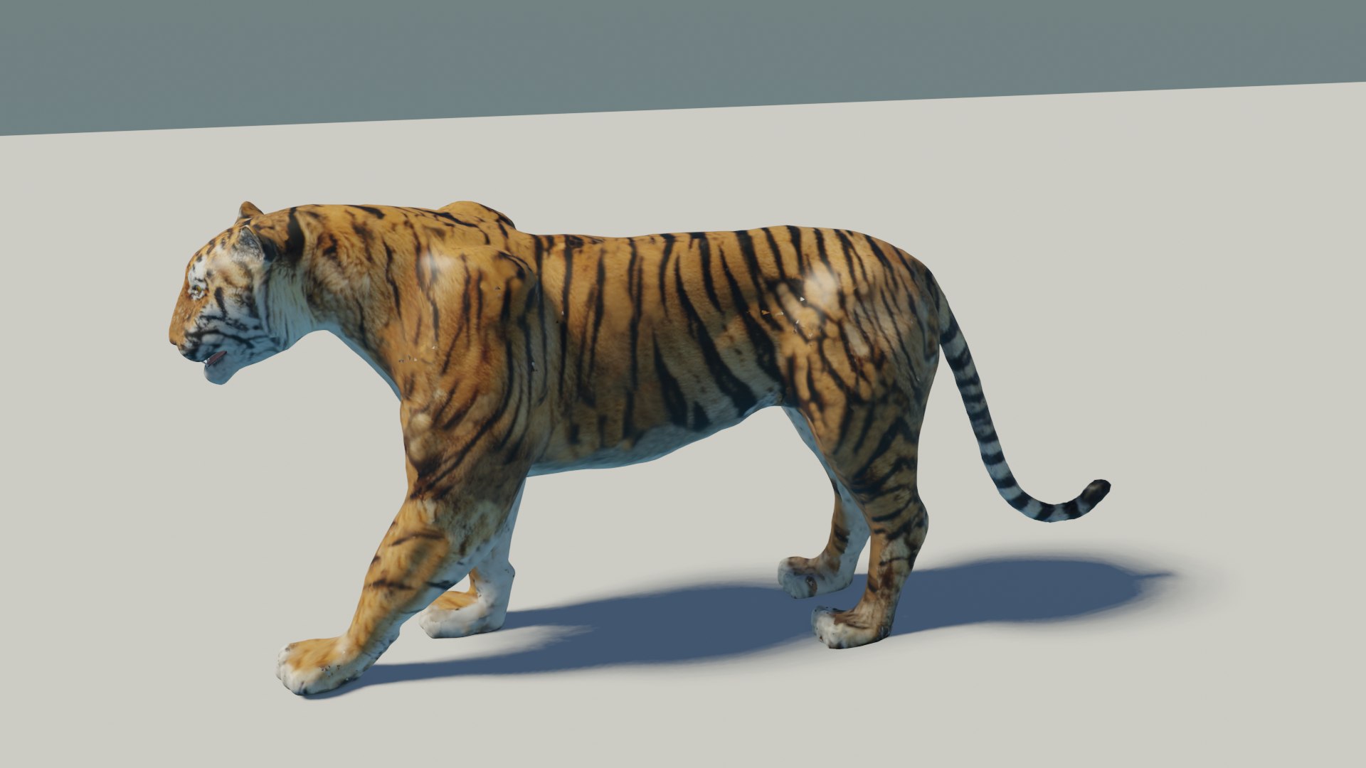 3D Tiger - TurboSquid 1897352