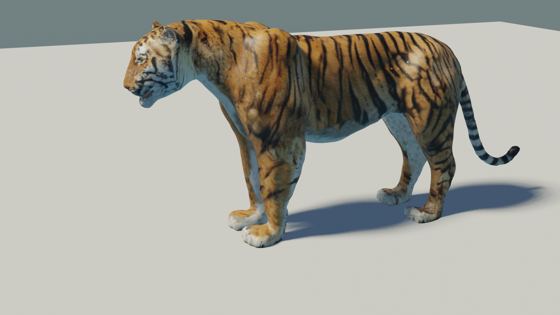 3D Tiger - TurboSquid 1897352