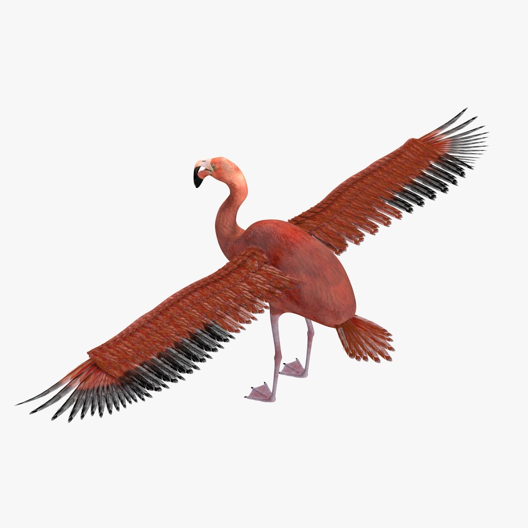 Rigged Model - TurboSquid 1536401