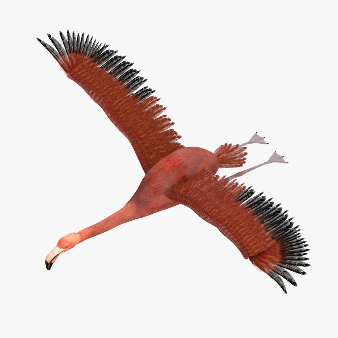 Rigged Model - TurboSquid 1536401